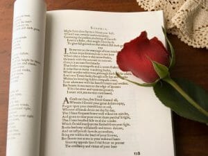 20 Amazing 7th Grade Poems Your Students Will Love